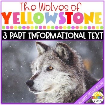 Yellowstone Wolves - 3 Part Informational Text - Sunshine STEM
